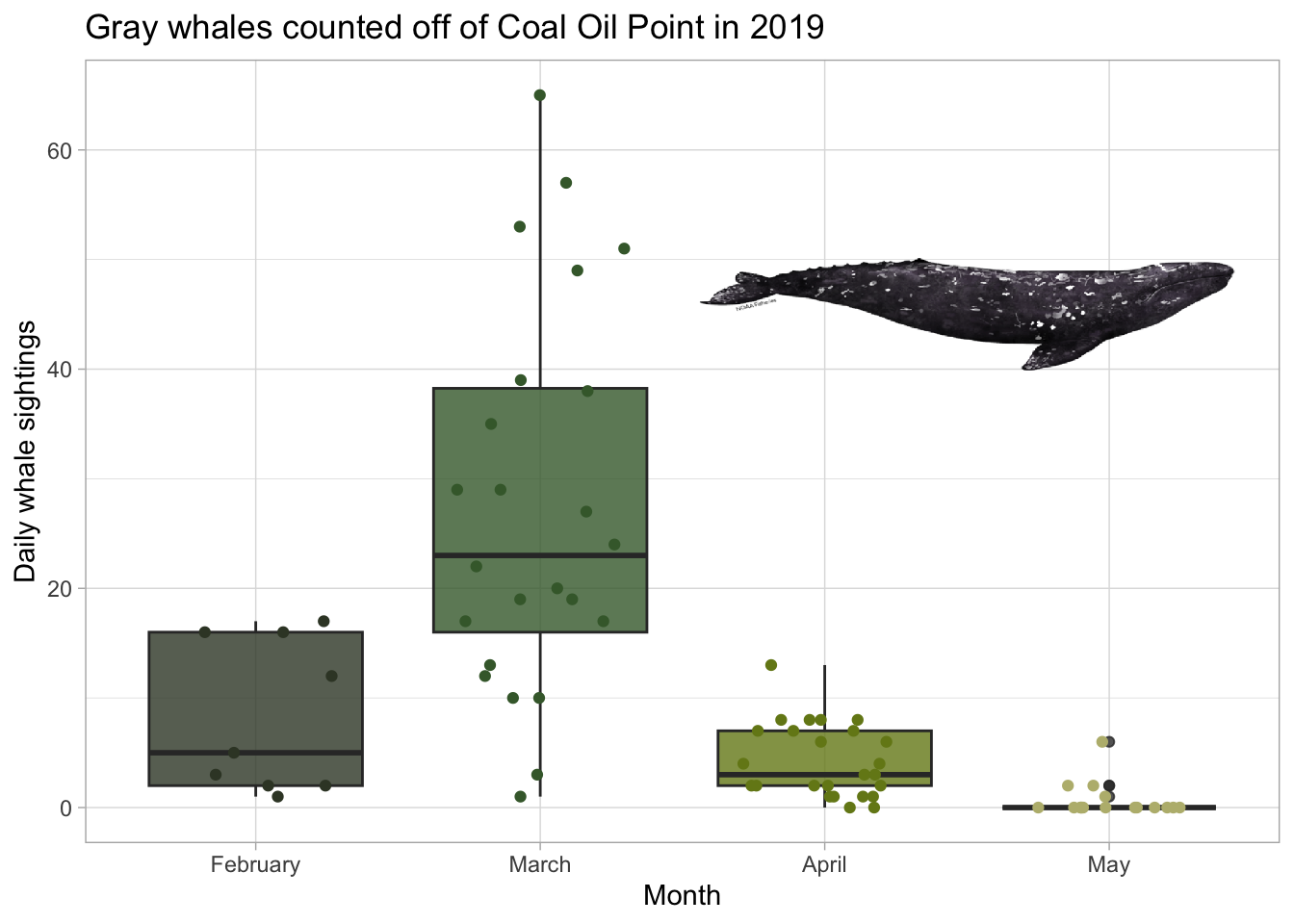 Week 6 coding workshop key